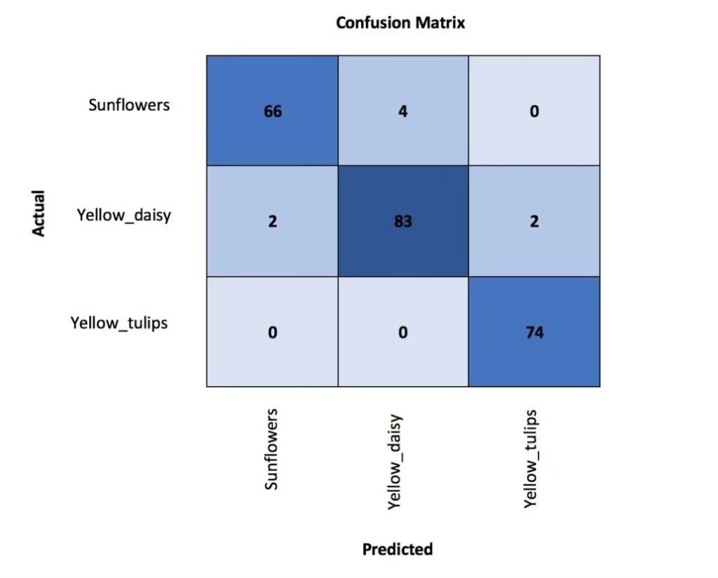 Computer Vision: Create an API in 60 minutes | DAIN Studios