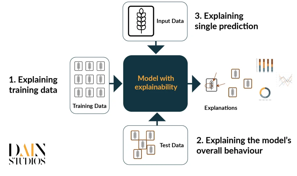 Explainable Ai Non Task Expert Physicians Benefit From Correct